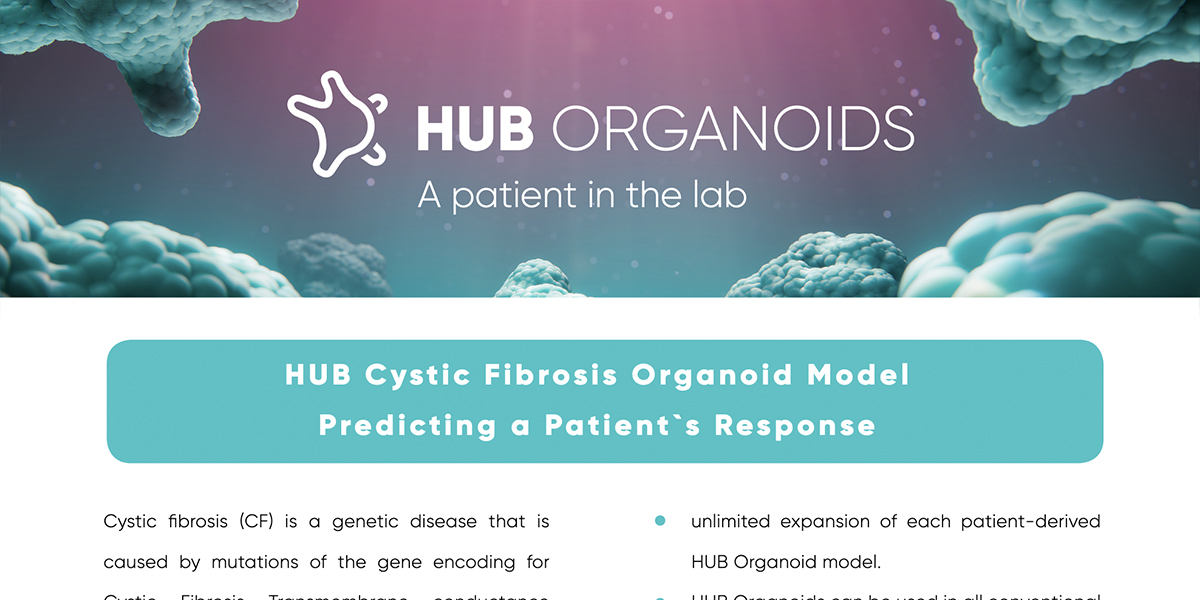 Cystic Fibrosis Organoid Models | HUB Organoids