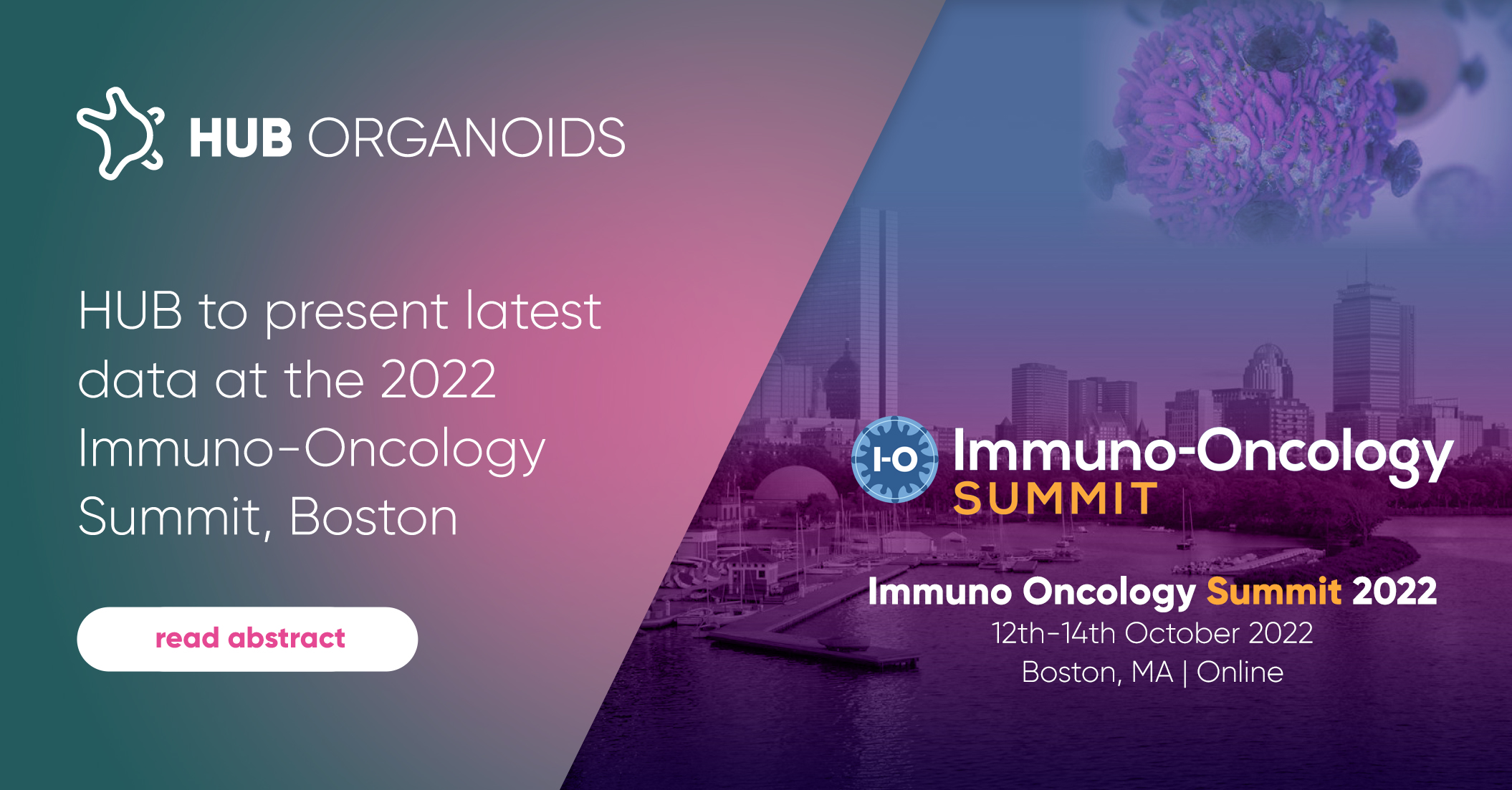 Resources Archive | HUB Organoids