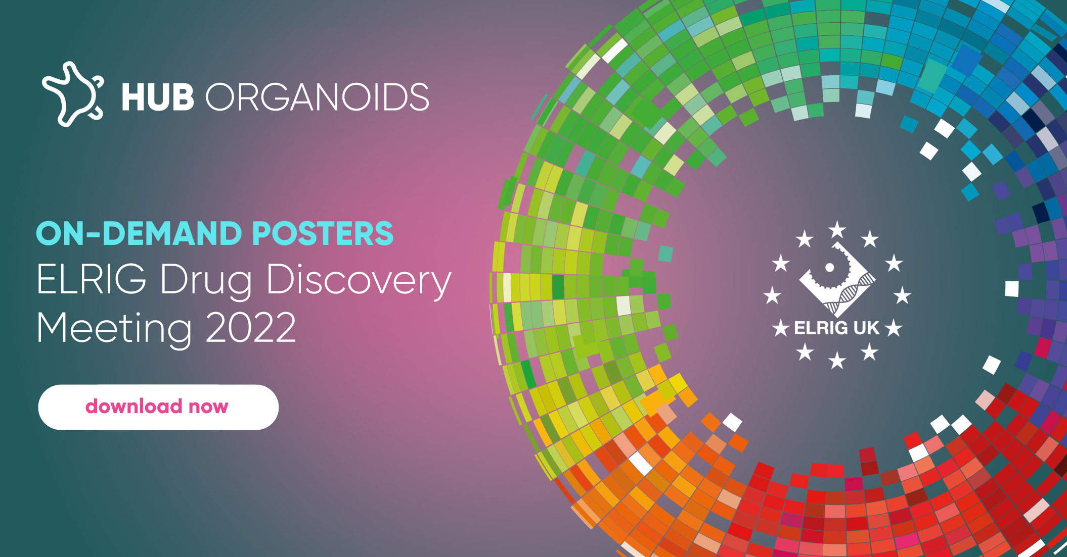 Resources Archive | HUB Organoids