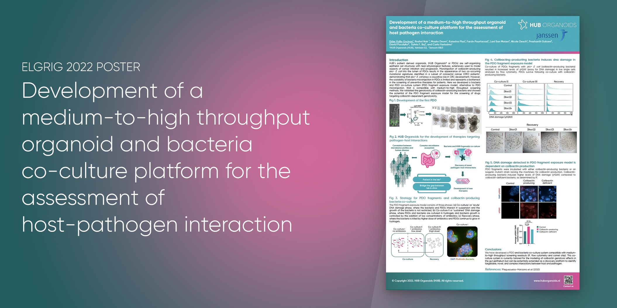 Resources Archive | HUB Organoids