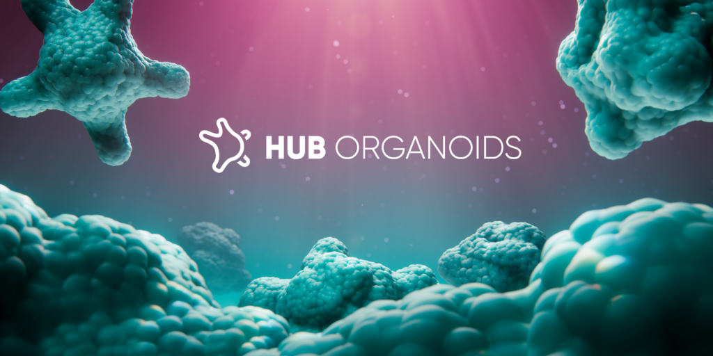 Ask the experts – organoids as model systems - HUB Organoids