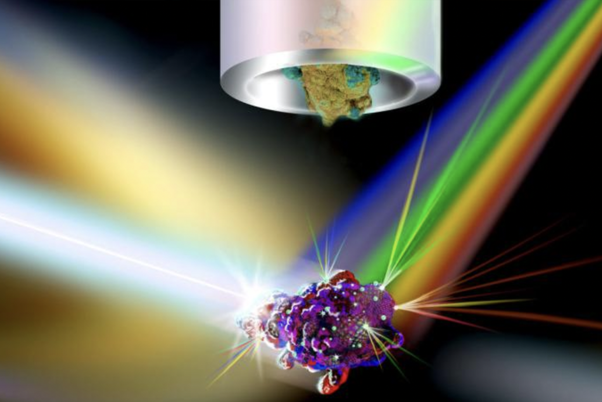 Antibody-Drug-Conjugate Solutions | ADC | Organoid Technology - HUB ...